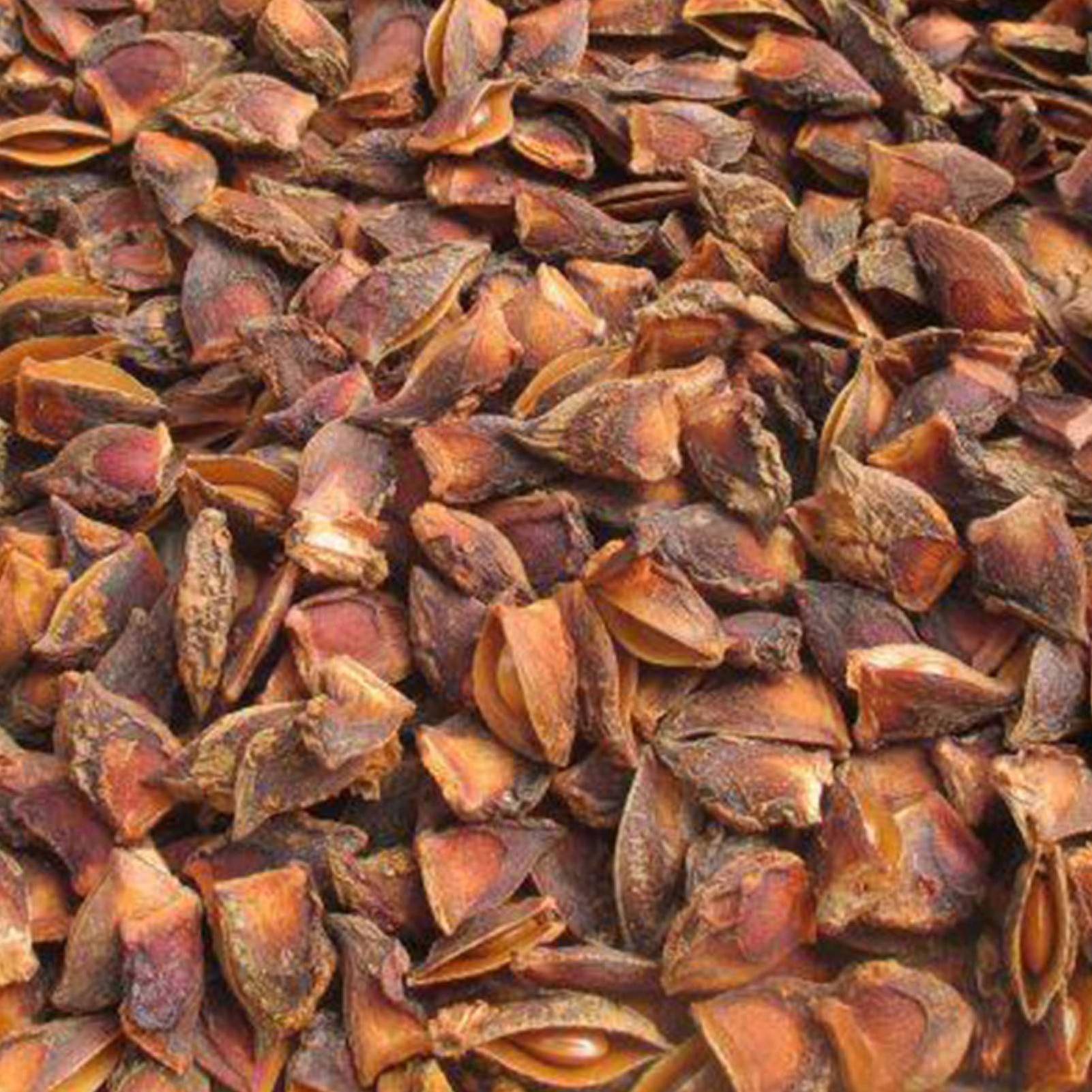 Star anis – ONEDERA